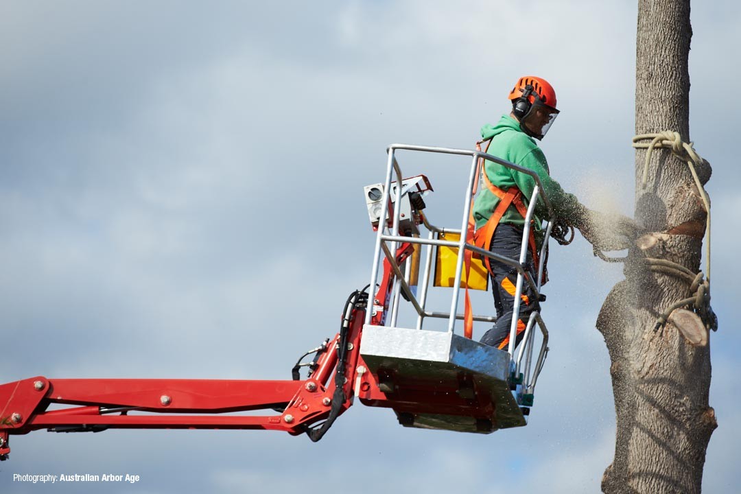 CMC Lifts Australia » CMC 19E Arbor Pro